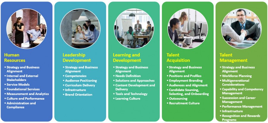 Human Resources Management Assessments Project Strategy Consulting Group human-resources-management-assessments-project-strategy-consulting-group